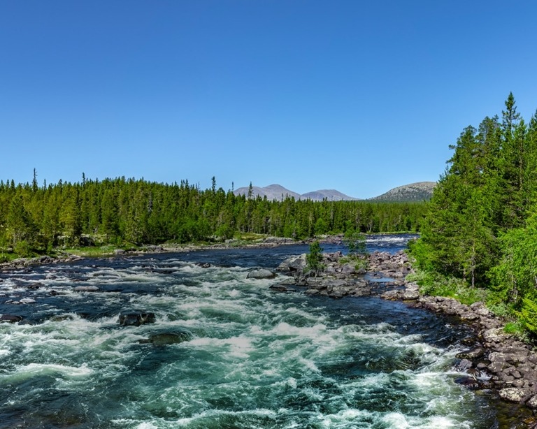 The Leader in Supply Chain Finance | PrimeRevenue