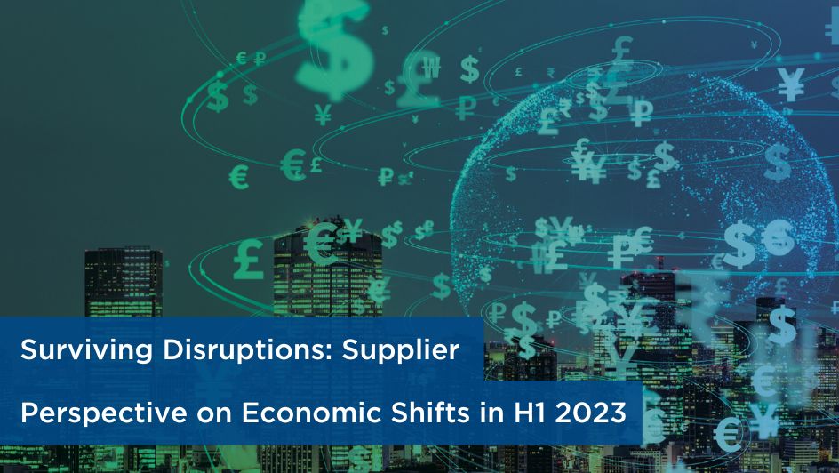 Surviving Disruptions: Supplier Perspective on Economic Shifts in H1 ...